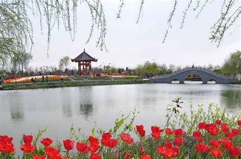 武汉东西湖十大景点 武汉市东西湖 武汉东西湖旅游景点 第7页 大山谷图库