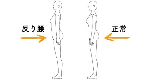 反り腰を効果的に改善するには？【ポイントは3つ】反り腰改善ストレッチandトレーニング ヨガジャーナルオンライン