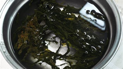 소고기 없이 진한 미역국 끓이는법 맛있고 건강하면서 국물이 끝내주는 미역국이 완성됩니다 💯 평생 써먹는 미역국 만드는법 🥇
