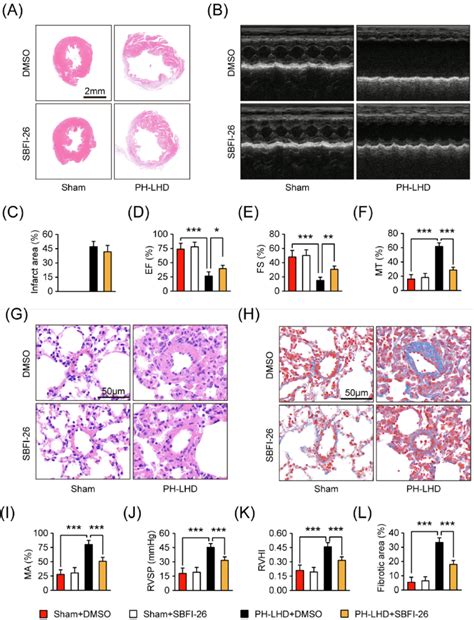 Inhibition Of Fabp5 Improved Cardiac Function And Mitigated Pulmonary Download Scientific