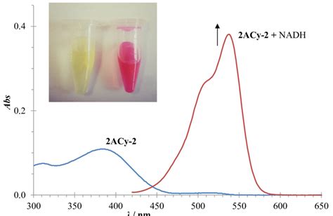 5 Uv Vis Absorption Spectra Of 2acy 2 5 µm In Aqueous Buffer Solution Download Scientific