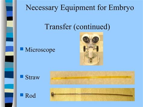 Embryo Transfer Incattle Ppt