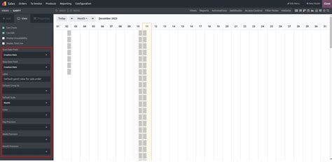 Gantt Charts Odoo 17 Studio Book