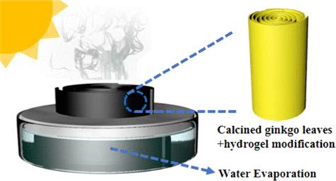 Bio Derived Photothermal Materials And Evaporators For Sustainable