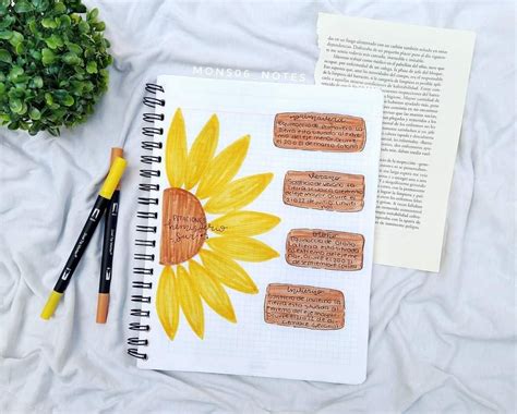 Descubre 59 Ideas De Esquemas Creativos Y Mapas De Ideas Diseño Mapa Mental Organizador