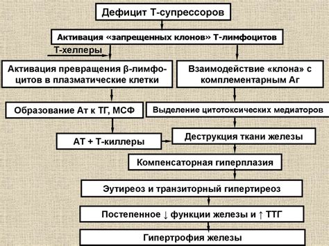 Хронический аутоиммунный тиреоидит и гипотиреоз диагностика и лечение