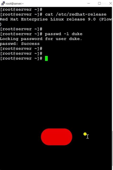 Lock Password Of A User In Linux Rhelcentosubuntu Linux Linuxcommands Shorts