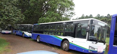 Entebbe Mayors Bus Project Faces Backlash