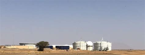 عُمان الـمستقبل On Twitter مع وجود نحو 12000 رأس من الأبقار في