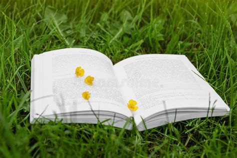 Open Book With Flowers On Green Grass Outdoors Stock Image Image Of