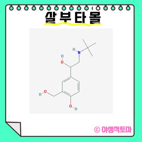 천식약 벤토린 Vs 풀미칸 성분 작용기전 효능 부작용 네이버 블로그