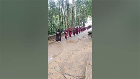 බුද්ධපුත්‍ර වූ උතුම් මහ සංඝරත්නයට මාගේ නමස්කාරය වේවා 🙏🙏🙏 ️ Youtube