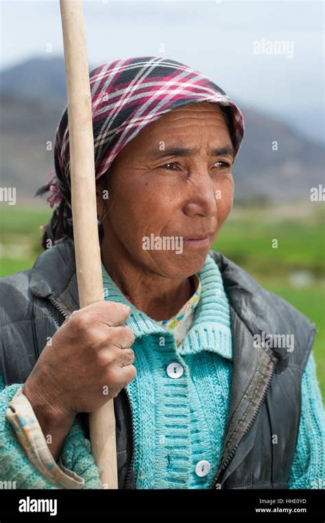 A Ladakhi Farmer From The Nubra Valley In The Northern Most Part Of