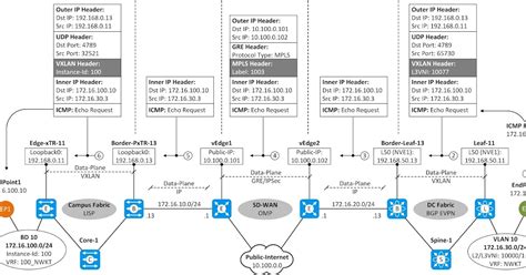 The Network Times Lisp Omp Bgp Evpn Interoperability Part Vii