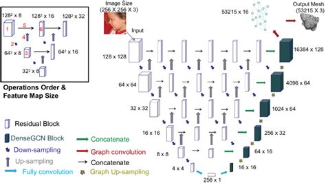 Overview Of Our Proposed Model Down Sampling Is Conducted By Setting Download Scientific