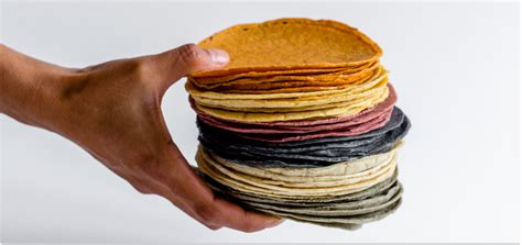 Food Pioneers Program Spring 2024 Impact Hub Amsterdam