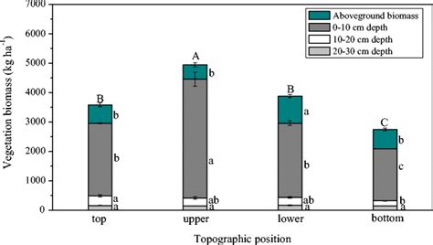 Vegetation Aboveground Biomass Agb Belowground Biomass Bgb And