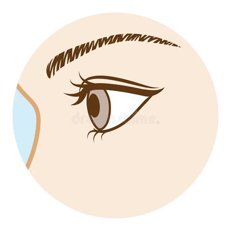 Occhio Parte Del Corpo Vista Laterale Illustrazione Vettoriale