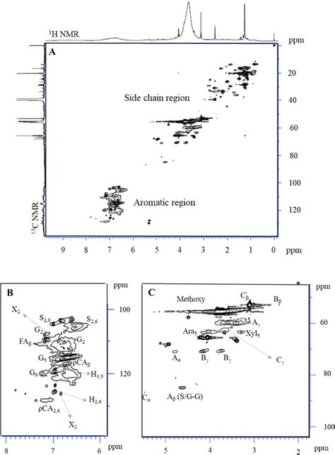 ¹h ¹³c Hsqc Nmr Spectra For A Aromatic Region And Side Chain Region Of