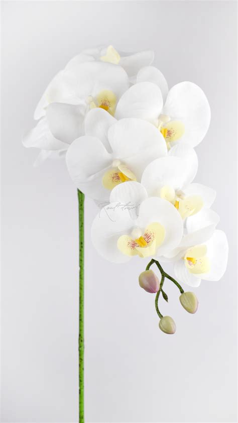 Real Touch - Artficial flowers and plants