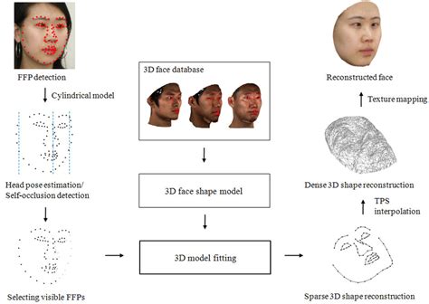 Overall Procedure Of The Proposed Method Download Scientific Diagram