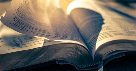 A Scriptural Backing For Pursuing Justice Tpw
