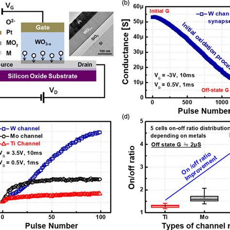 Color Online A Schematic Diagram Of The Three Terminal Synapse Download Scientific Diagram