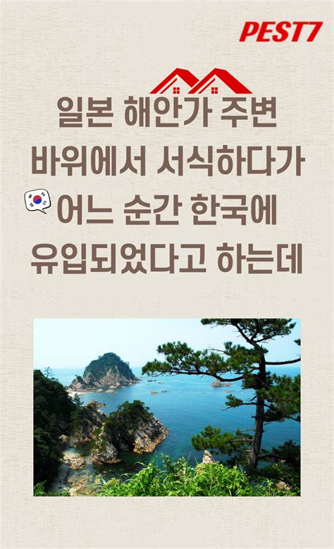 빨간진드기 다카라다니 네이버 포스트