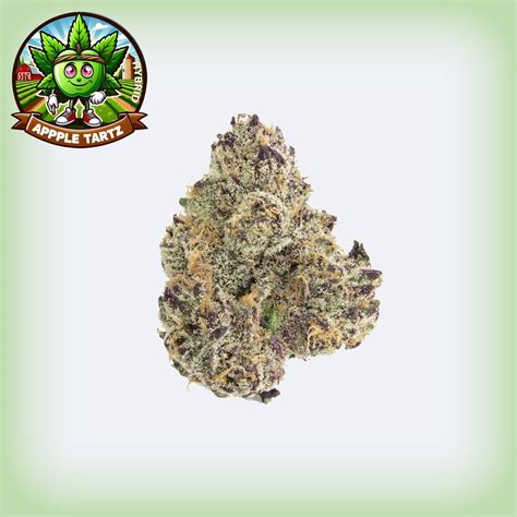 Apple Tartz Premium Flower Island Roots