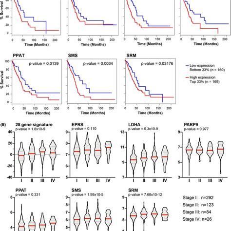 Integrative Transcriptomicmetabolomics Signature Highlights