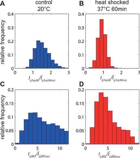 Quantification Of The Transcriptional Activity And Transcript Download Scientific Diagram