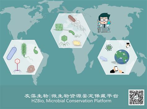 微生物资源鉴定保藏平台 灰藻生物【官网】