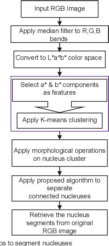 Figure 1 From Nucleus And Cytoplasm Segmentation In Microscopic Images