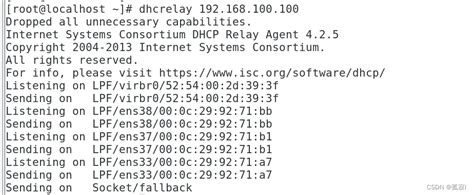 Centos7搭建dhcp服务器以及dhcp中继代理配置centos Dhcprelay配置 Csdn博客