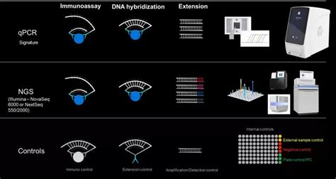 Olink Proteomics Explained Principles Advantages And Comparison Ms