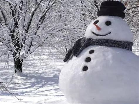 广州雪人 广州堆雪人 雪人蟹 第8页 大山谷图库