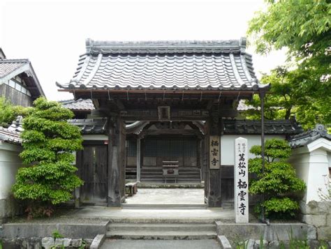 武田信親（若狭武田氏）：概要