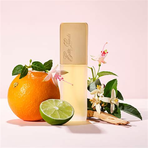 Estée Lauder Private Collection Edp Her 50ml V Perfumes Uae