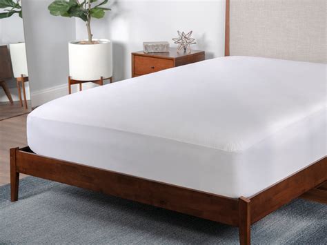 Top Mattress Protector Mattress Firm