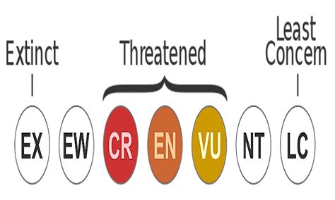 what is the iucn red list what are the iucn red list categories