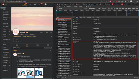 【个人疑问】浏览器如何获取网页的cookie？如何找到某网站的cookie Csdn博客