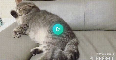 Boo  On Imgur