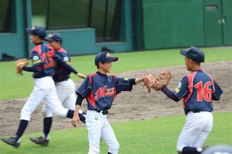 ヤングカープ交流戦 岡山メッツのブログ