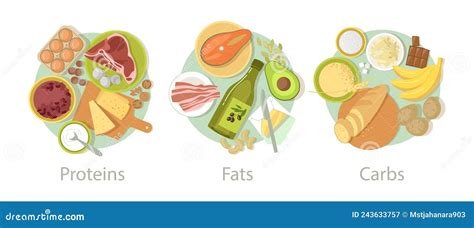 Carbohydrate Protein And Fat Food Set Stock Vector Illustration Of