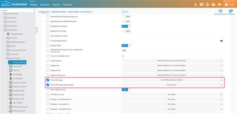 Stratodesk No Linux Knowledge Needed For NoTouch OS Pros
