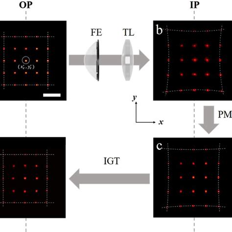 Correction For The Spatial Distortion Using The Lm Pattern A Download Scientific Diagram