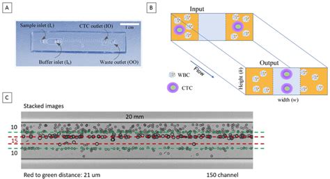 A Image Of The Straight Microfluidic Chip With Descriptors For