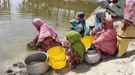 جان بچه های سیستان و بلوچستان توسط گاندو تهدید می شود و کسی کاری نمی کند تیک تاک نیوز