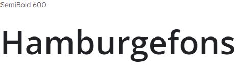 Some Google Font Doesn T Have Semibold Font Type Flutter Fixes