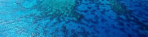 40181 Great Barrier Reefimpolicyfcropandw1920andh480andqmedium